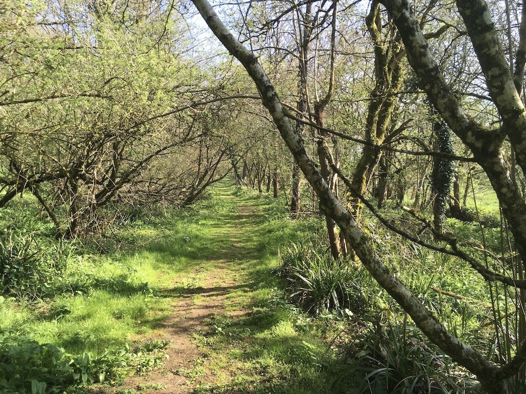 Batcombe: the long way round - Walks in Bruton